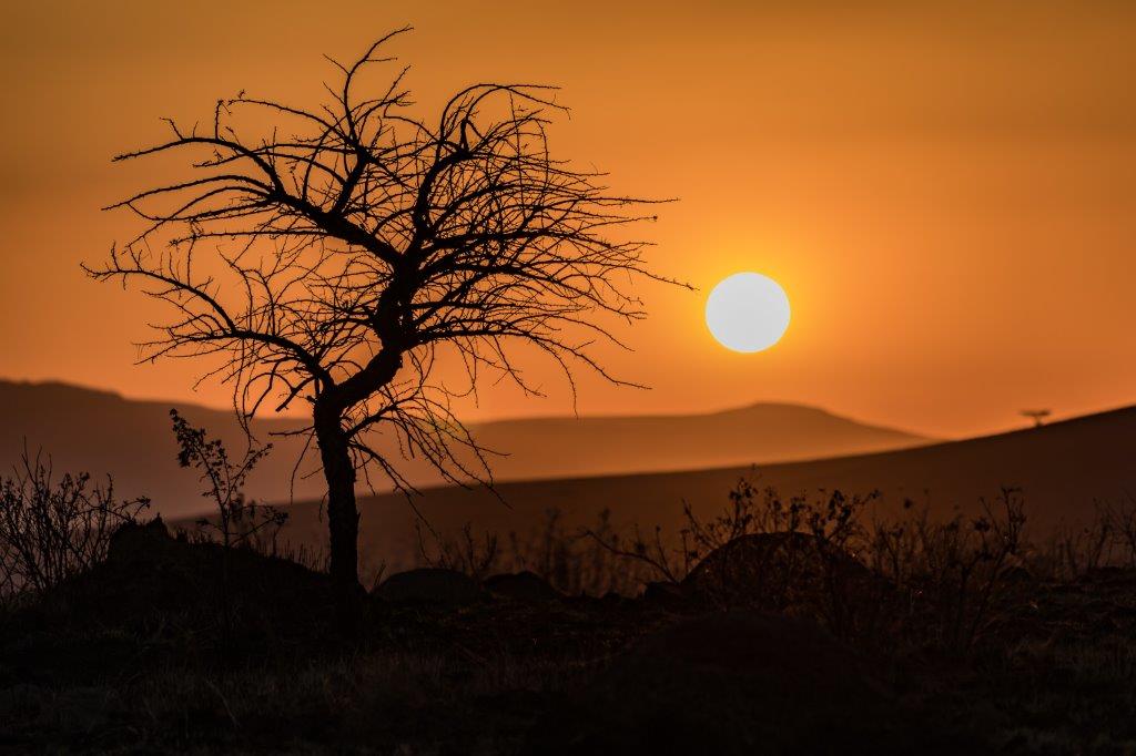 African sunset – wwfsa